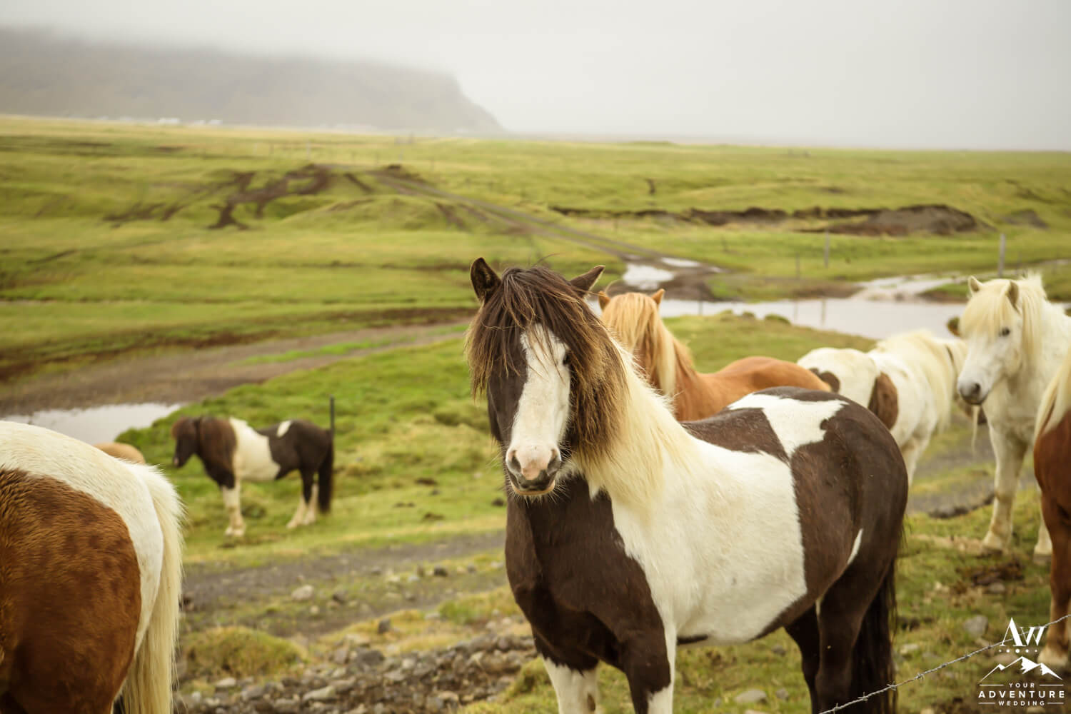 Spectacular September Iceland Wedding with Guests