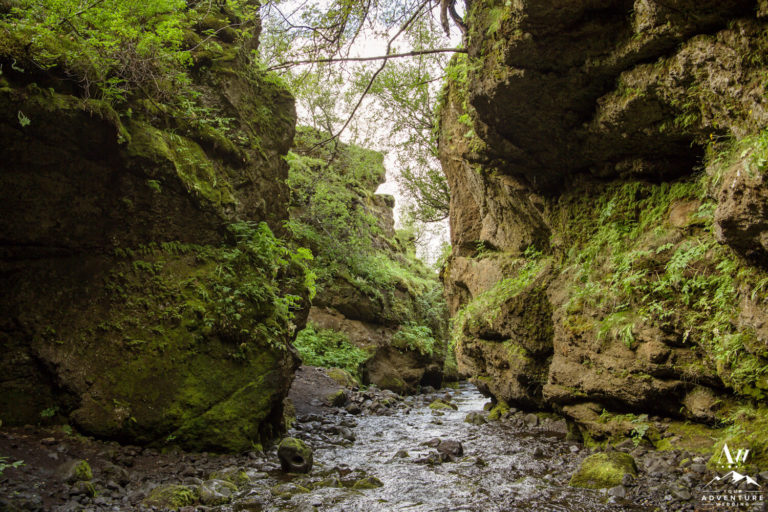Discovering Nauthúsagil Waterfall | Iceland Wedding Planner