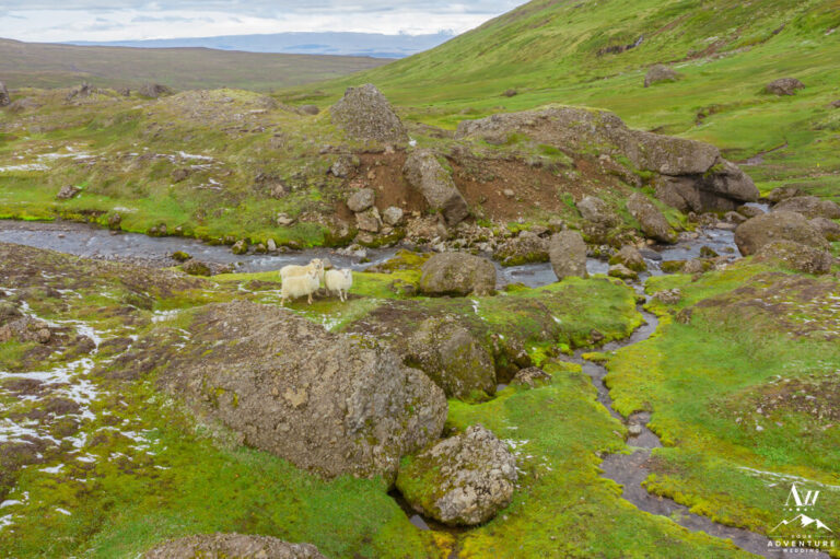 Step by Step Guide: Trekking to Stórurð | Iceland Wedding Planner