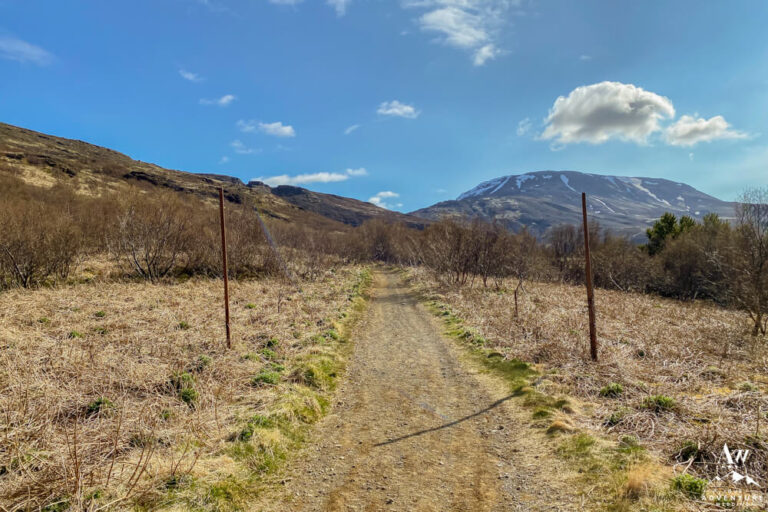 Glymur Waterfall Trail Guide | Iceland Wedding Planner